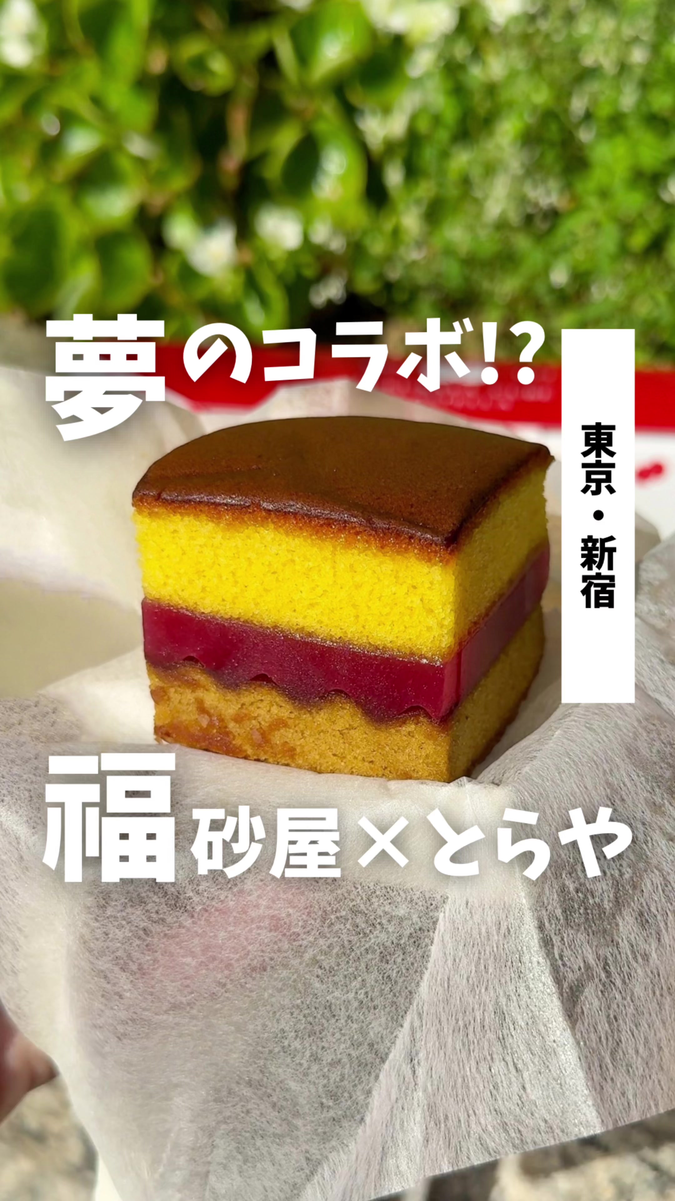 福砂屋 新宿伊勢丹店 - 予約・店舗情報はこちら | HAMONI